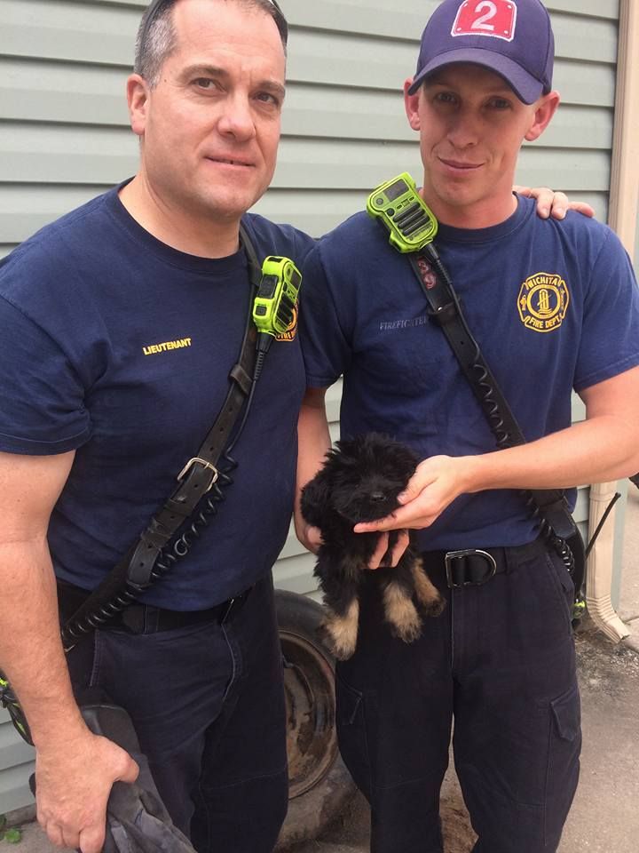 Wichita firefighters rescue puppy with head stuck in wheel - KAKE