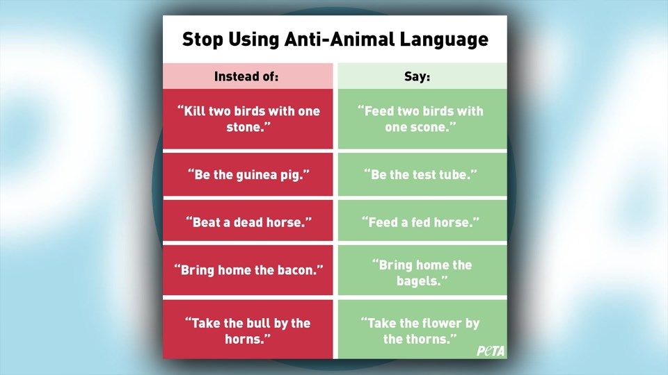 PETA says stop using 'anti-animal language'