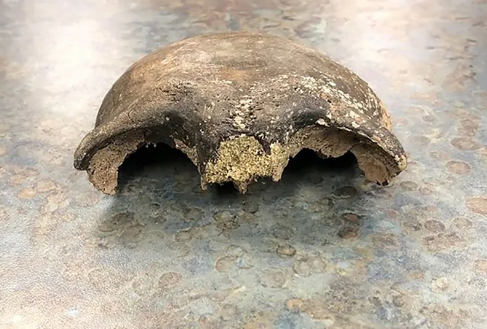Nearly 8,000-year-old skull found in Minnesota River - KAKE