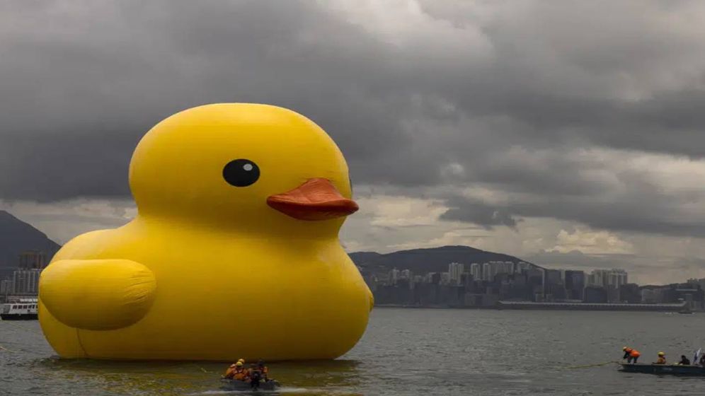 Giant Inflatable Ducks Make A Splash In Hong Kong Kake