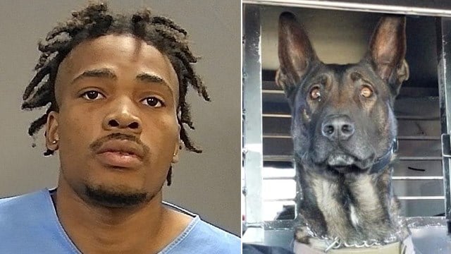 Wichita Man Charged With Killing Sheriffs Office K 9 Other Crimes Kake
